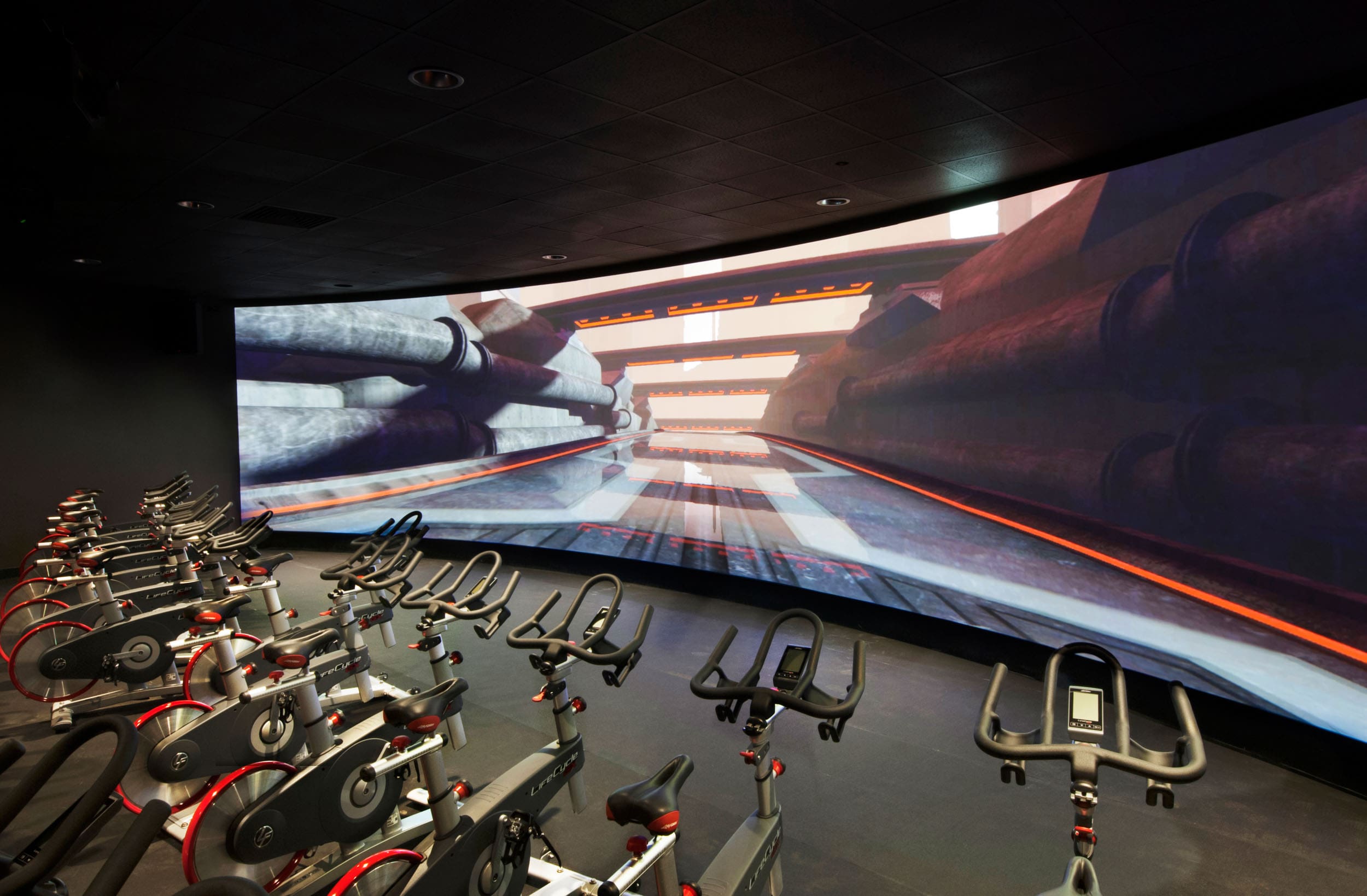 TMPL Gym | AllertonFox Construction